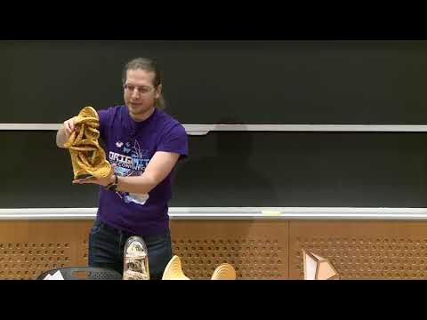 21. Algorithms—Next Steps - YouTube