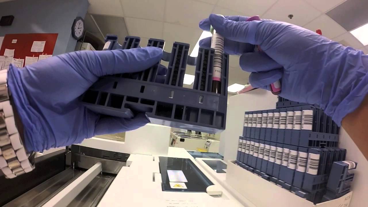 Behind the scenes: What happens to a blood sample? - YouTube