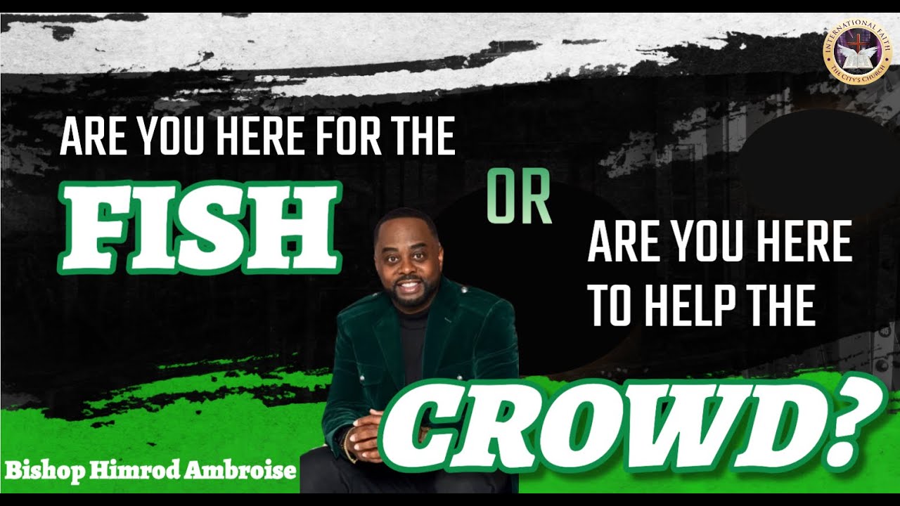 Are You Here for the Fish or Are You Here For the Crowd? (Part 2 ...