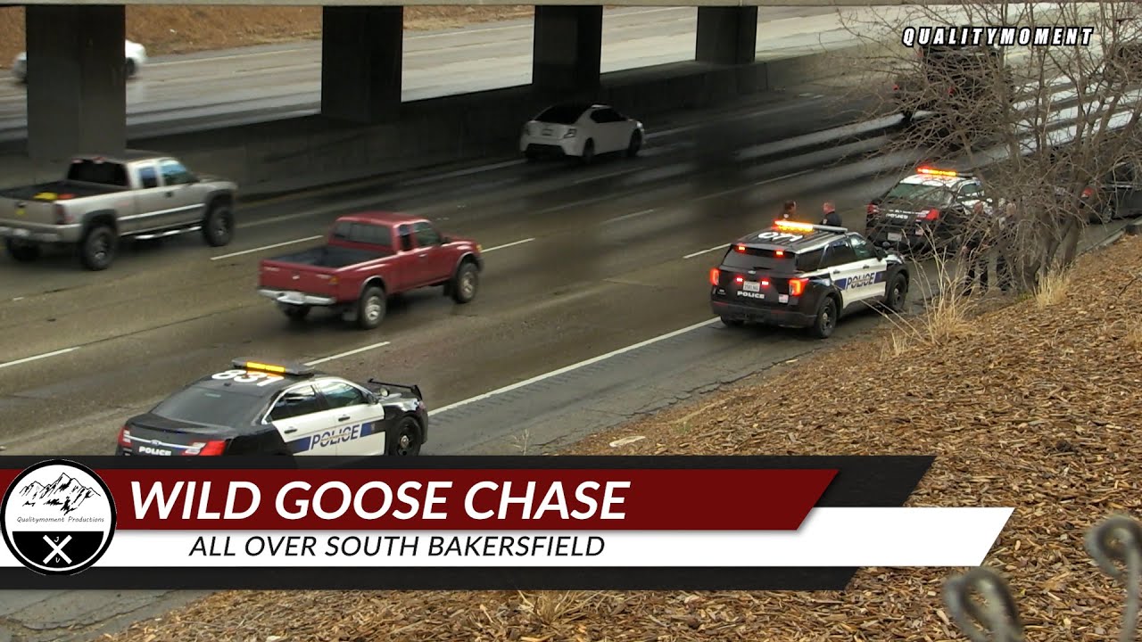 Wild Goose Chase, Pursuit |1-23-21| - YouTube