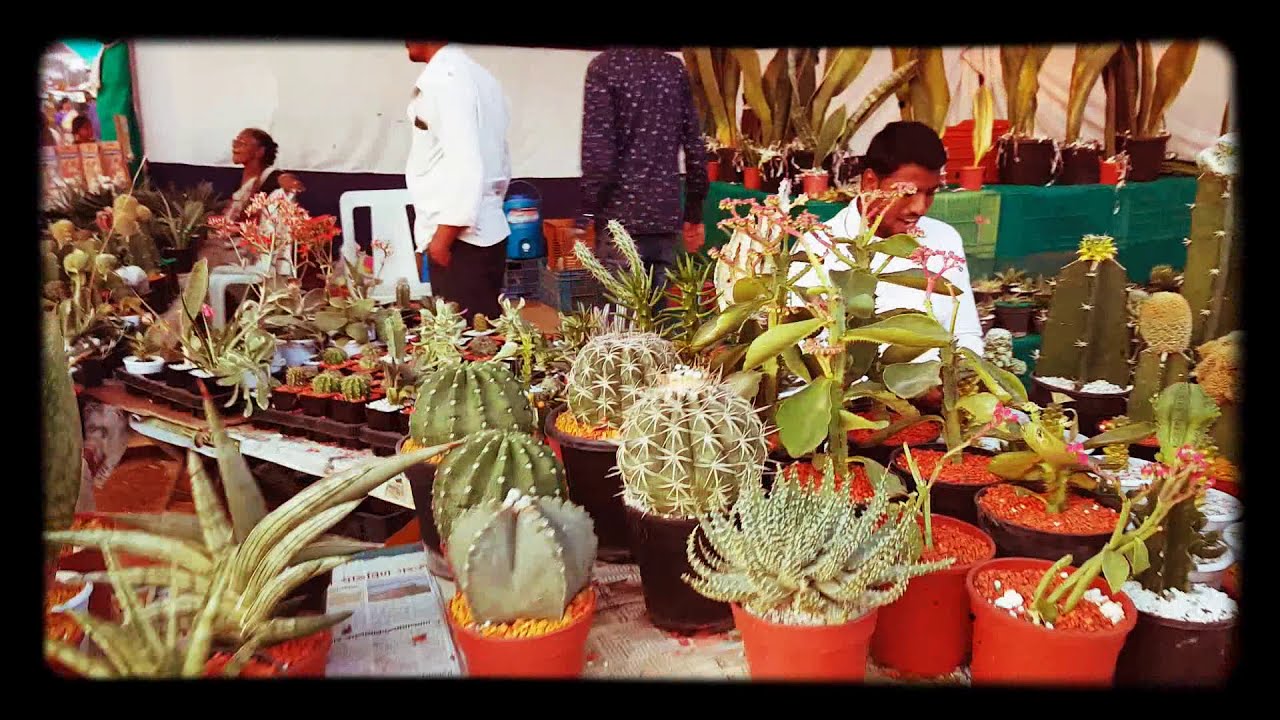 Plant nursery exhibition - YouTube