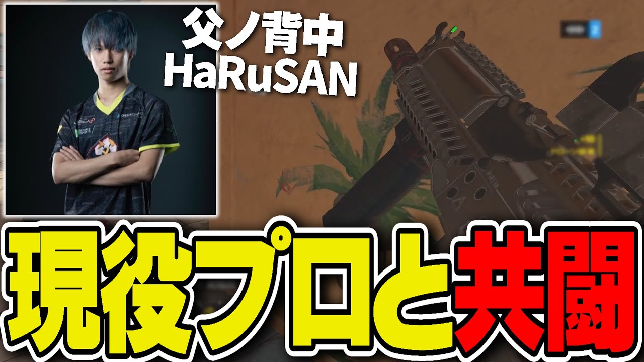 父ノ背中"HaRuSAN"と共闘！現役プロの実力がやばすぎた...！- R6S - YouTube