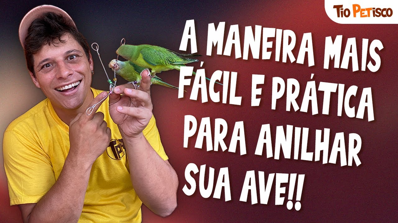 SAIBA COMO ANILHAR PÁSSARO - Papagaio, Calopsita, Arara, Ring Neck ...