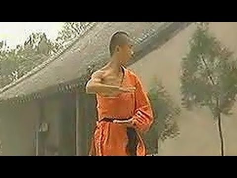 Shaolin big Buddha kung fu (luohan quan), simplified 1/2 - YouTube