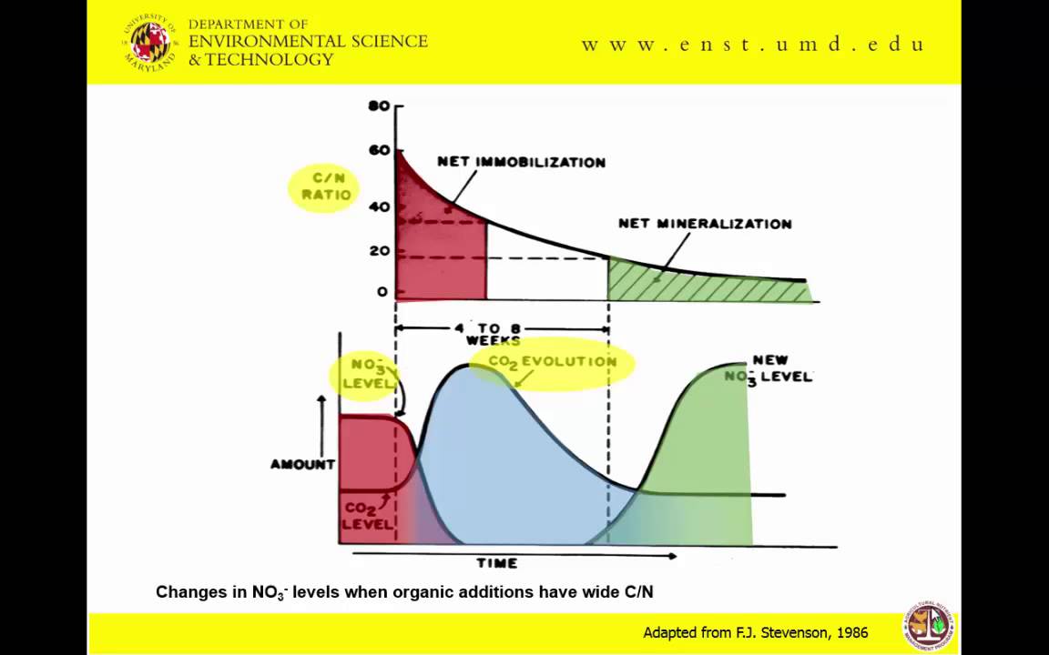 Fundamentals of Nutrient Management 2015: Nutrient Cycles - YouTube