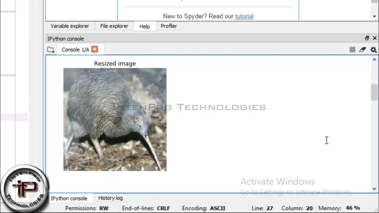 Bird Species Identification System in Digital Image Processing By ...
