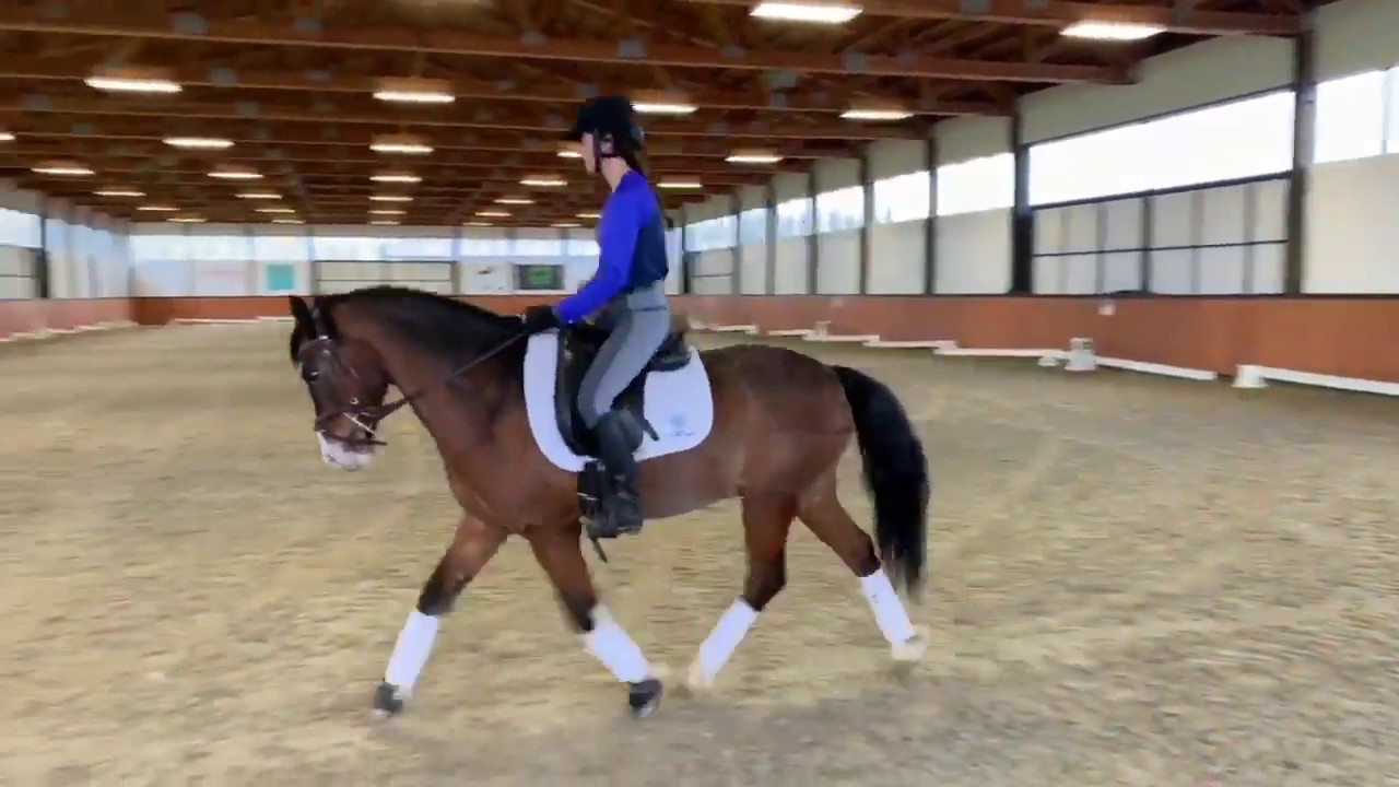 Christian Bay April 2019 preview - YouTube