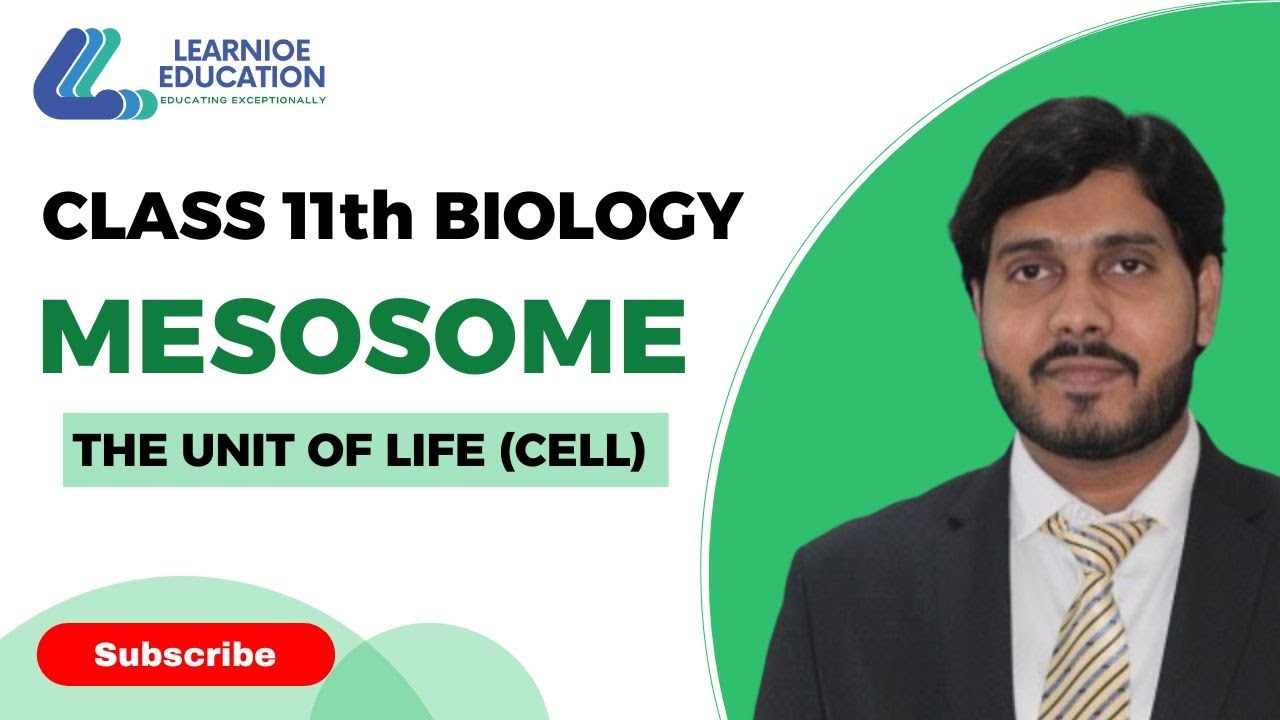 Mesosomes in Bacteria | Mesosome in Prokaryotic Cell | The Unit of Life ...