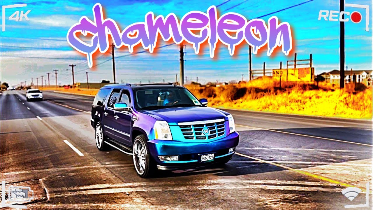 revealing are 6k custom wrapped escalade we did at home - YouTube