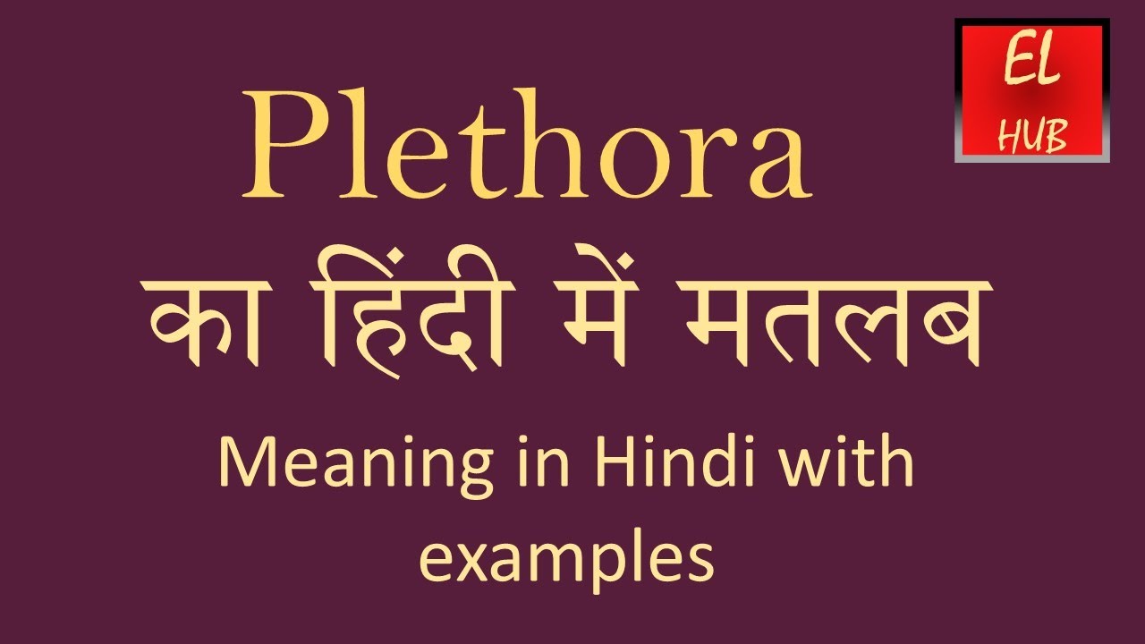 Plethora meaning in Hindi - YouTube