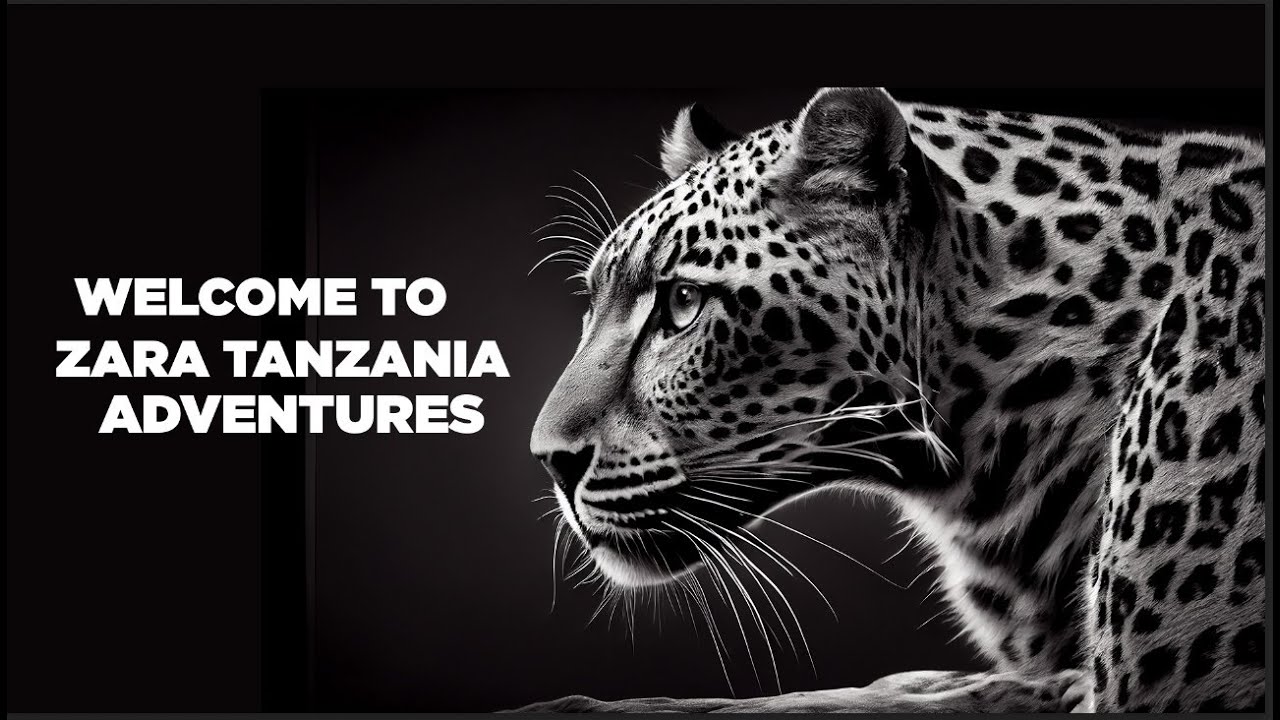 Welcome To Zara Tanzania Adventures - YouTube