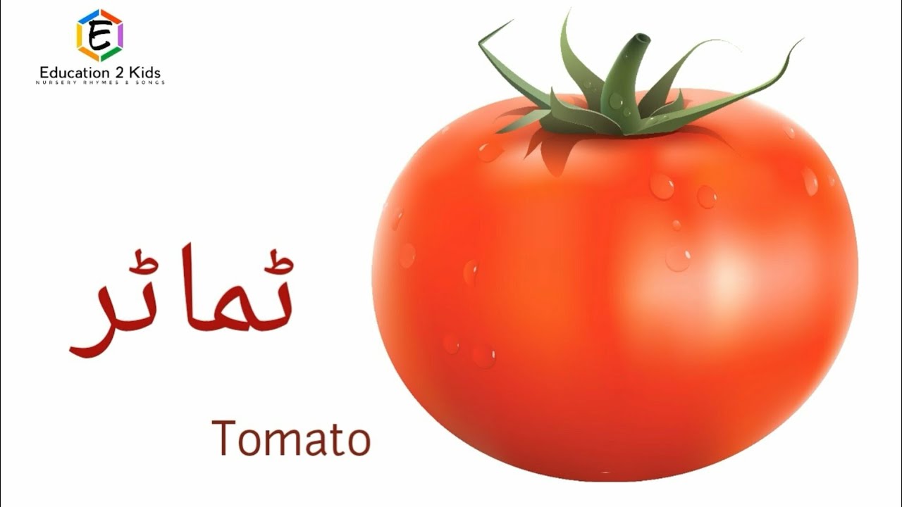 Vegetables Name In Urdu Sabzion Ke Naam YouTube vegetables-name-in-urdu-sabzion-ke-naam-youtube
