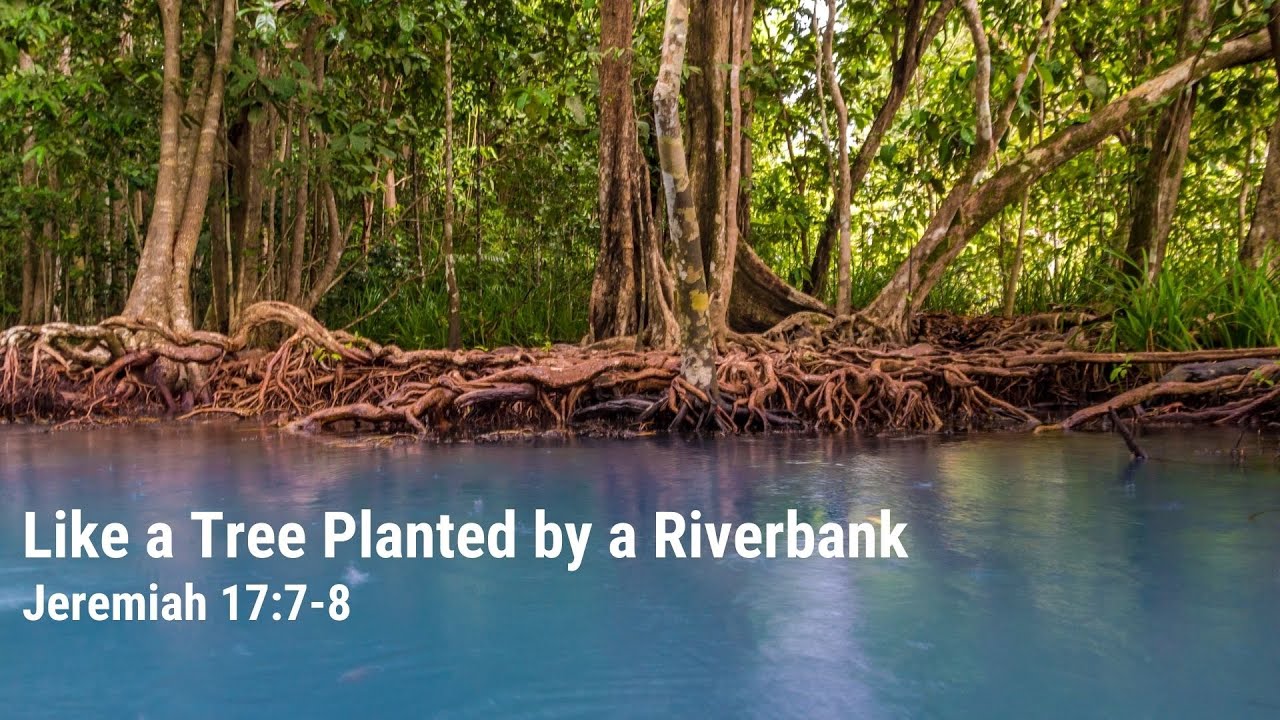 Like a Tree Planted by a Riverbank - YouTube