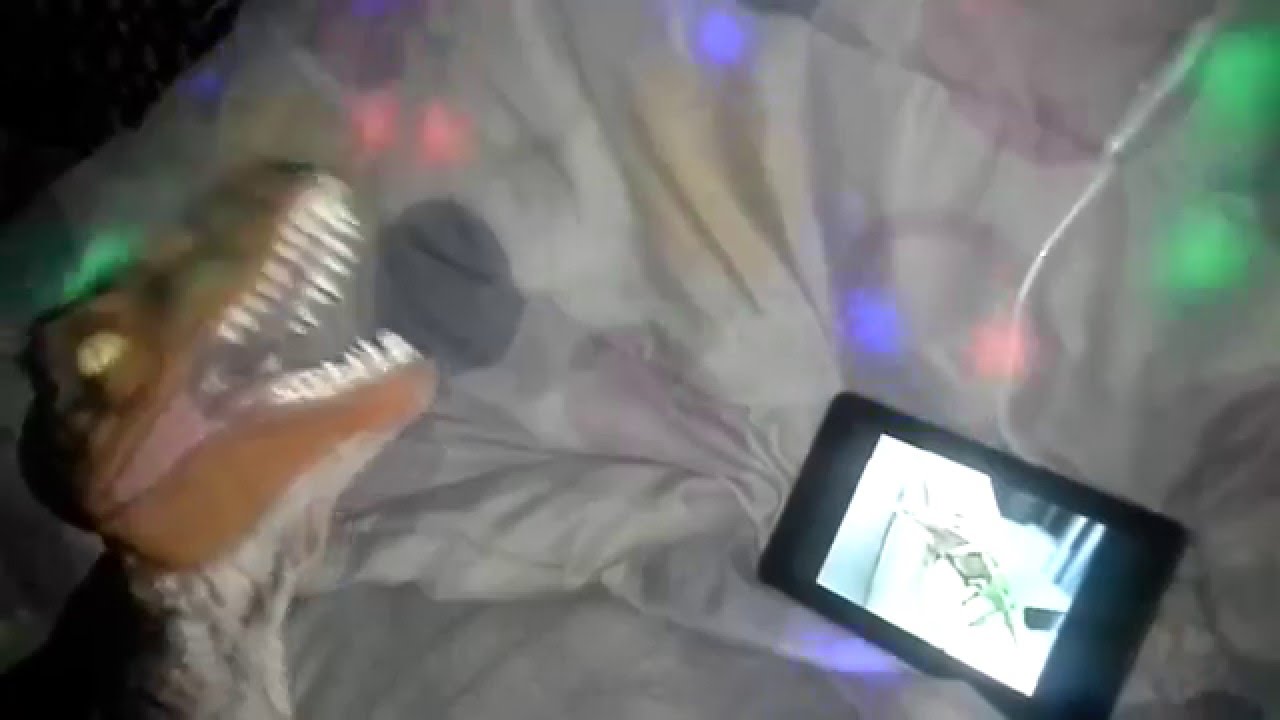 Rappy the Raptor Porn! - YouTube