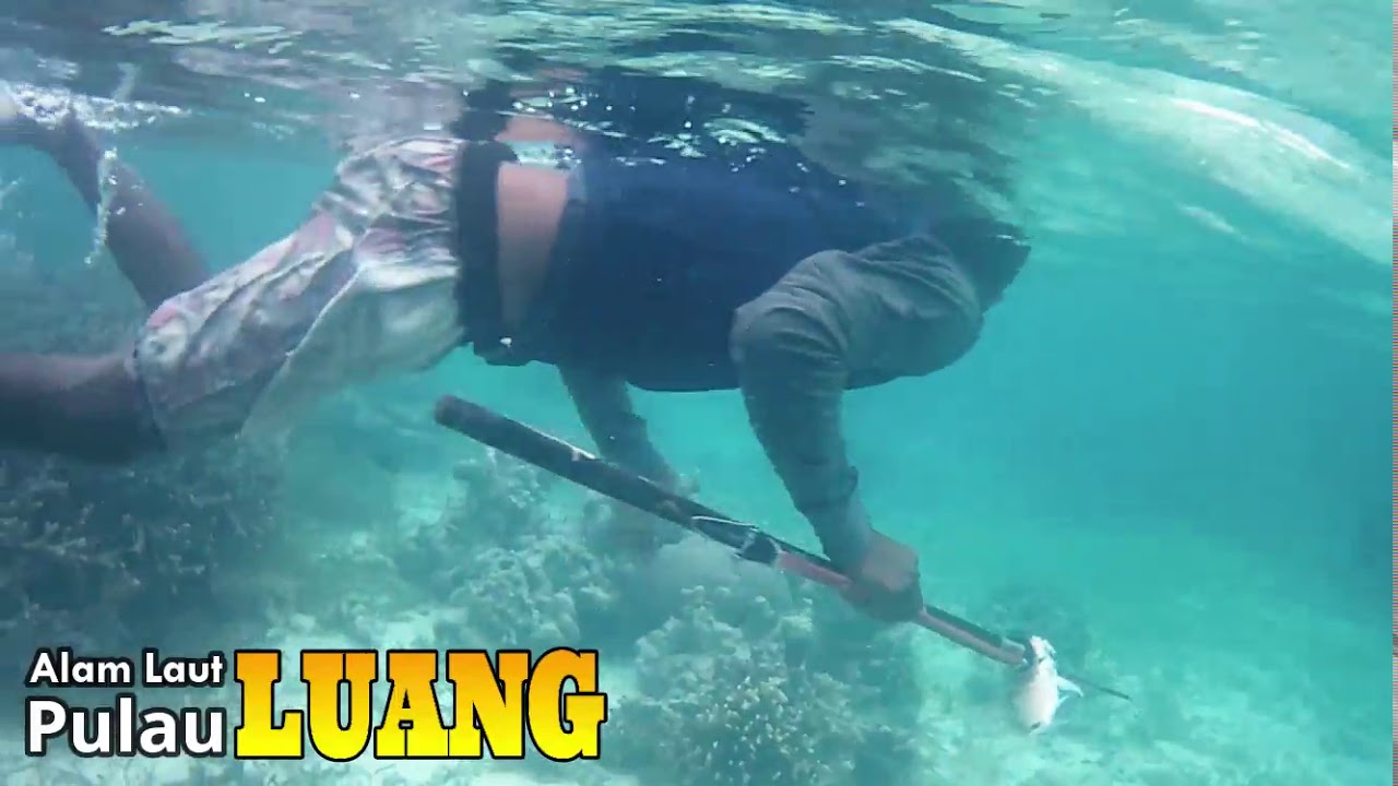 PESONA Pulau Luang _ Terumbuk Karang Di perairan selat Mecutun dan ...