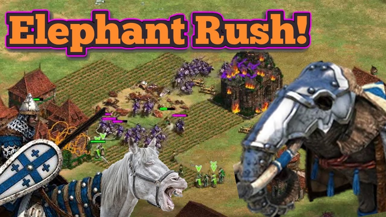 Elephant Rush with General Apathy! Hit Them with the Rush Back! - YouTube