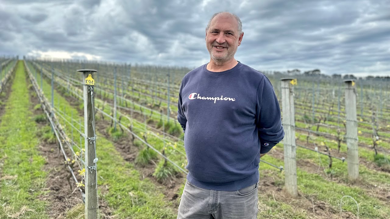 Sense of Place: High-density wine-growing at Elanto Vineyard - YouTube