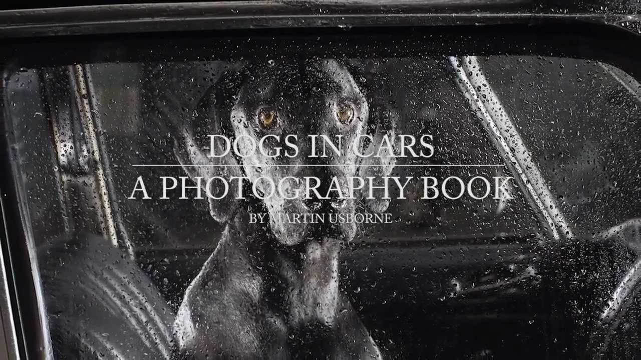 The Silence of Dogs in Cars by Martin Usborne (Archive) - YouTube