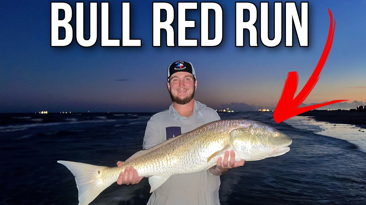 SURF FISHING for BIG BULL REDFISH (Galveston) - YouTube