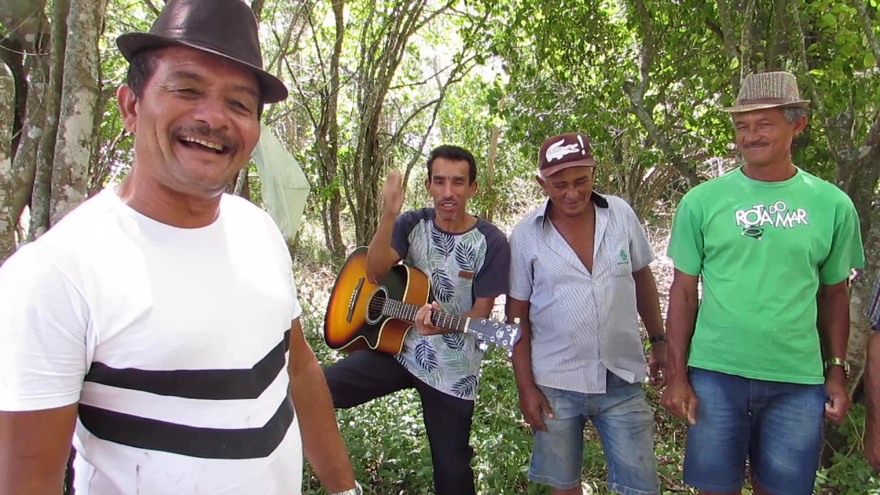 Ze Das Novinhas Youtube