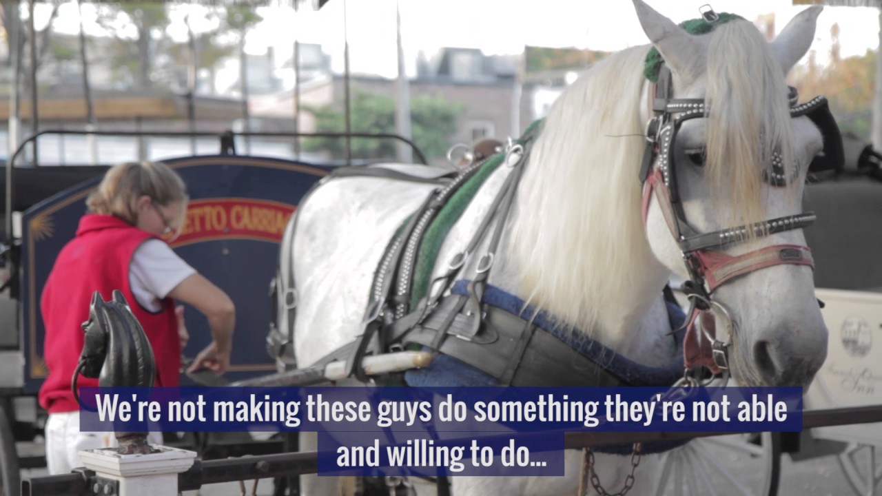 There's A Clear Difference Between Use And Abuse - YouTube