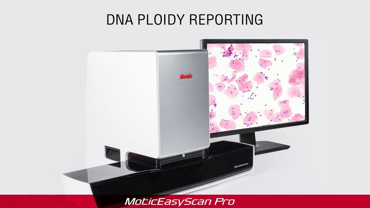 Dr Kolte explain how to generate DNA Ploidy Report - YouTube