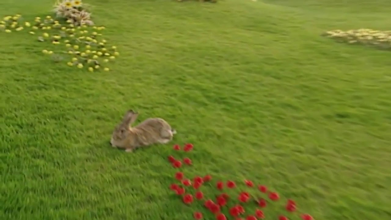 Teletubbies Opening Shot: Field 4 Butterfly - Clip - YouTube