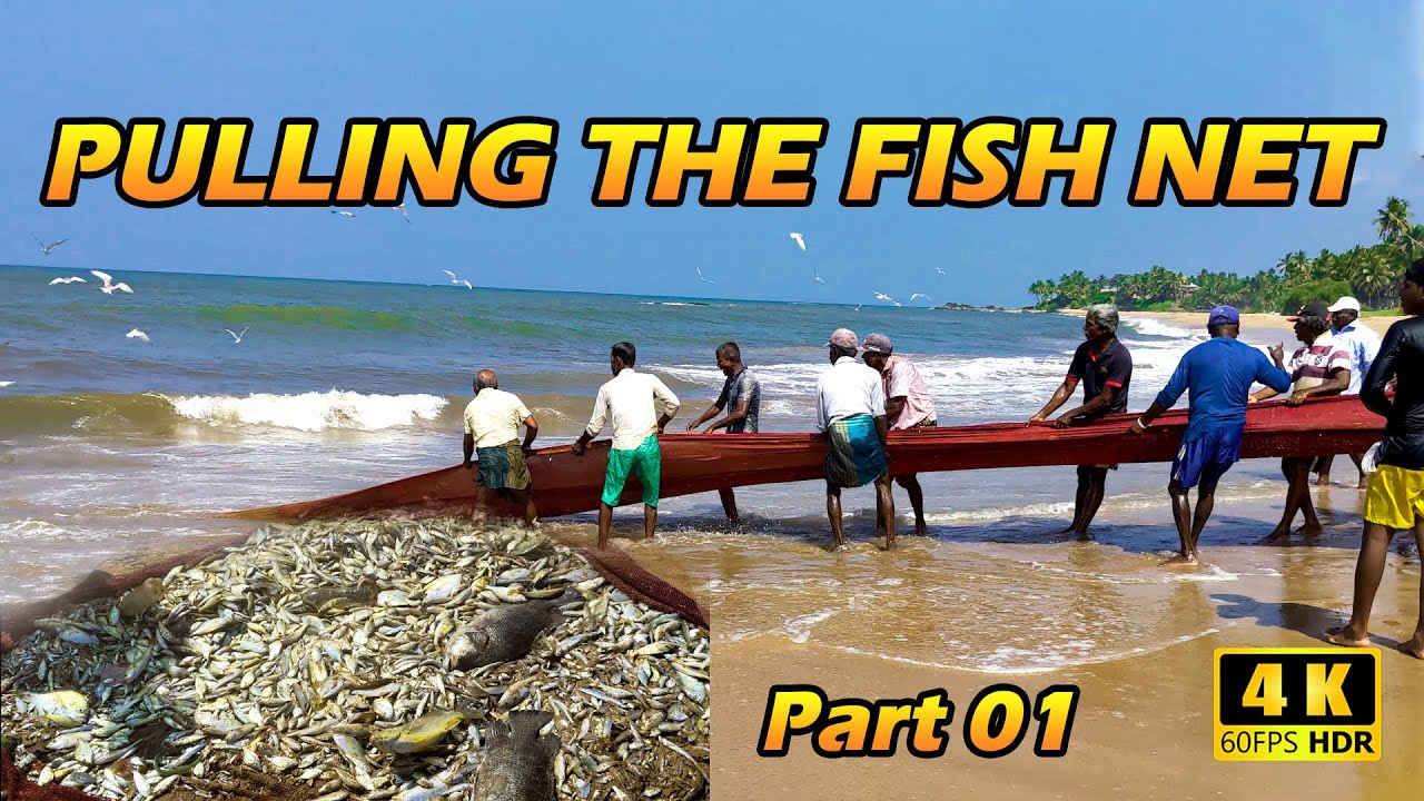 Pulling a fishing net step by step on traditional fishing techniques ...