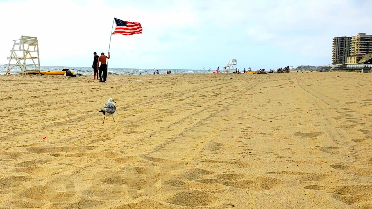 Everyone Is Busy (Official Lyrics Video) - YouTube