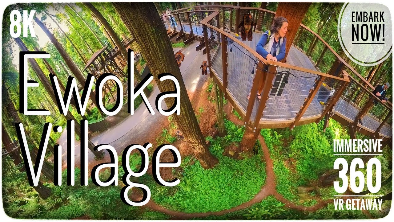 Enchanted Ewoka 🐻🌲🐻: Bright Tree Village 36O VR Find and Seek - YouTube