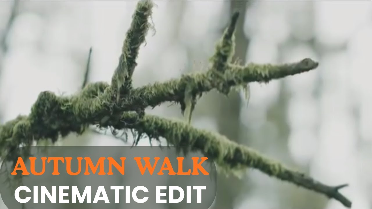 Autumn Walk – Canon R7 Cinematic Short (7Artisans 35mm Cine Lens) - YouTube