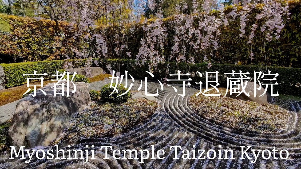 京都府観光 宮本武蔵が禅の修行 妙心寺退蔵院 Kyoto Tourism: Miyamoto Musashi Taizo-in Temple ...