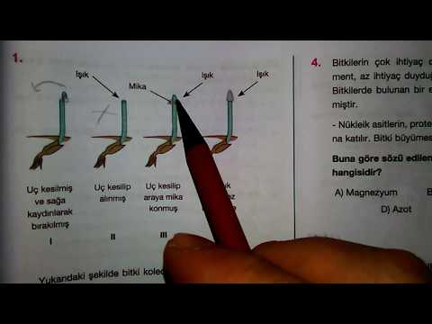 LİMİT YAYINLARI BİYOLOJİ   VİP KONU ANLATIMI   SAYFA   347 349