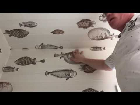 How To Make Wallpaper Continue From Ceiling Onto Walls - Spencer Colgan