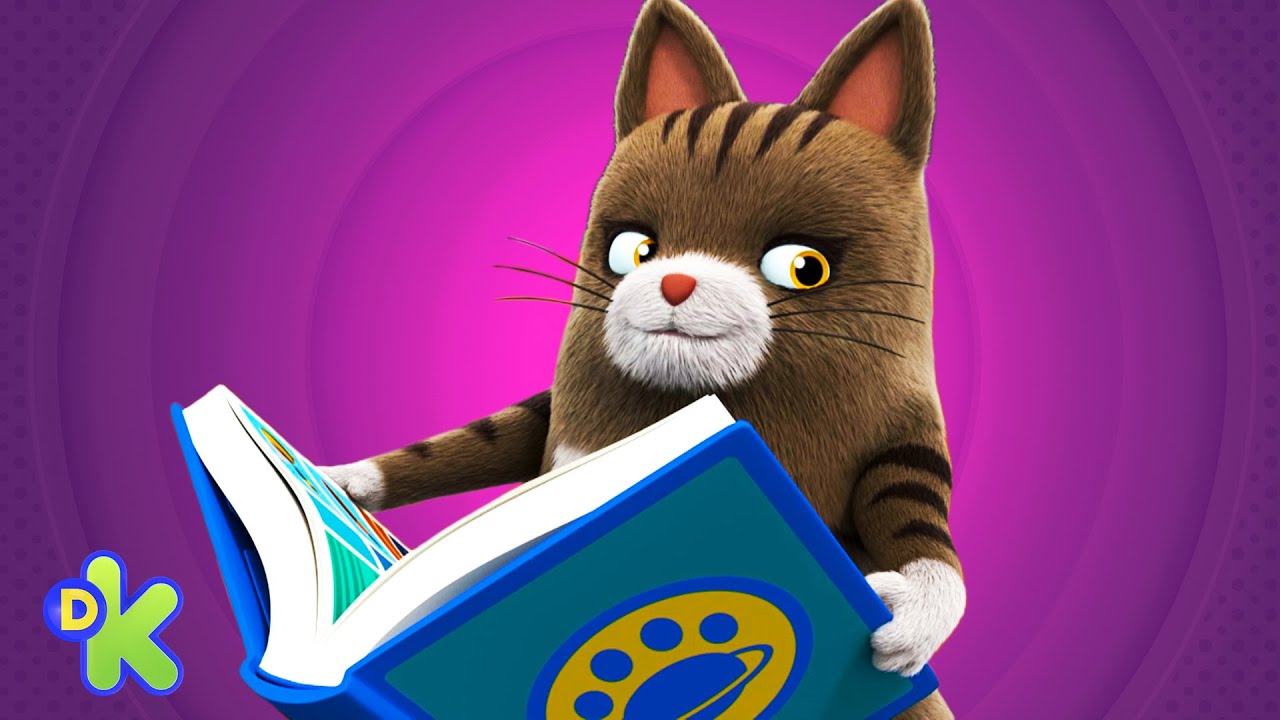 Una prueba sorpresa | Agente Binky al Rescate | Discovery Kids - YouTube