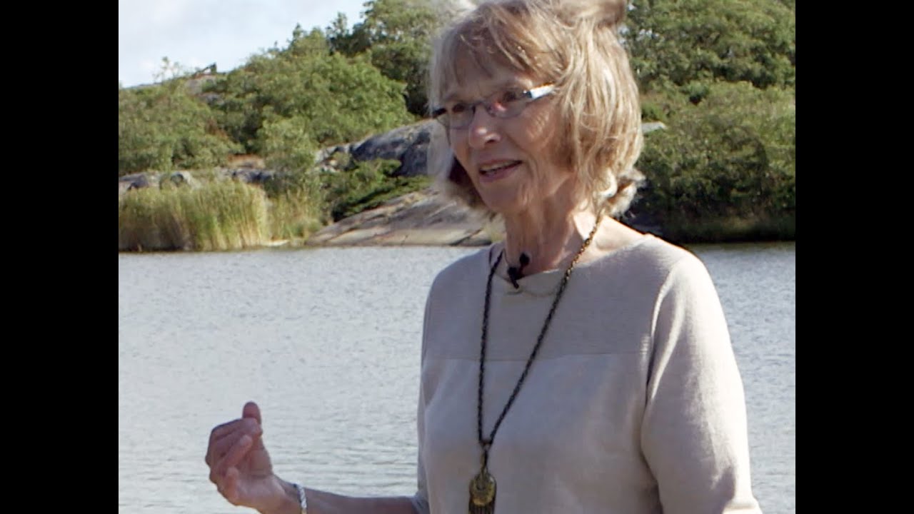 ICE: A chat with author Ulla-Lena Lundberg - YouTube