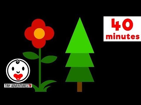 Baby Sensory - 40 Minutes High Contrast Animation - Adventures in ...