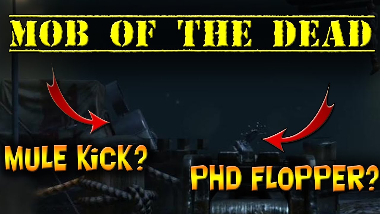Mule Kick and PHD Flopper on Mob of the Dead? - YouTube