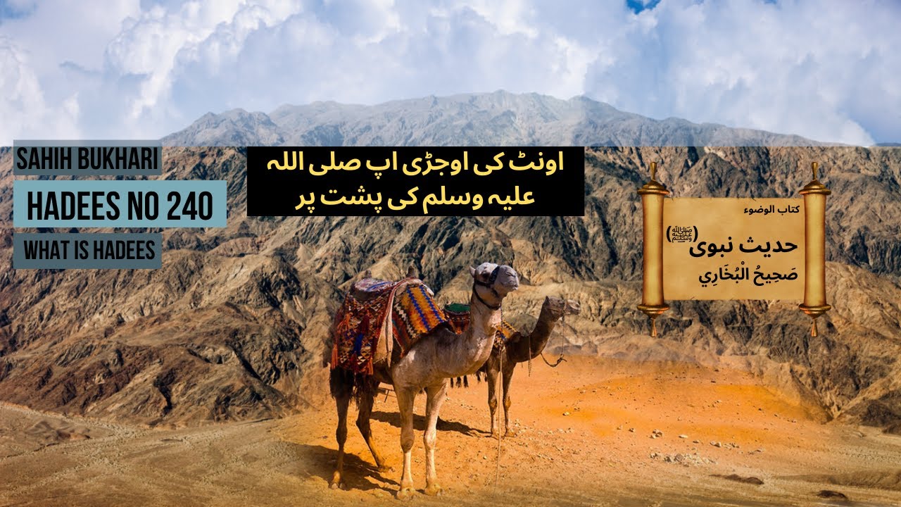 Sahih Bukhari Hadees No 240 | Hadees Shareef in Urdu| Hadees About Tripe (Ojri)|Knowledge of ...