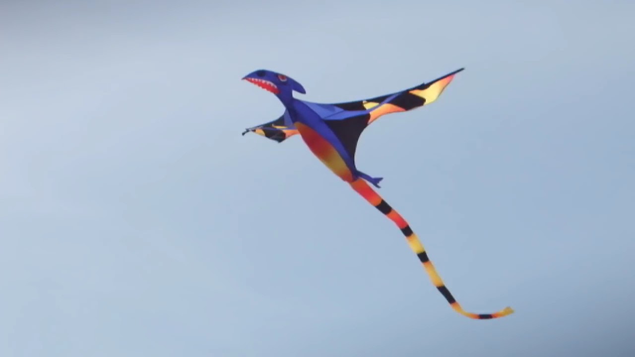 Premier Kites Pterodactyl 3 D Kite - YouTube