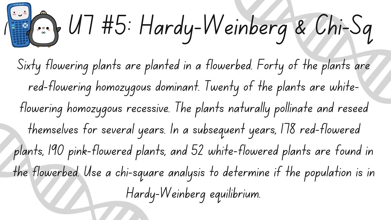MM 36 AP Bio Math Minute: Hardy-Weinberg & Chi-Square - YouTube