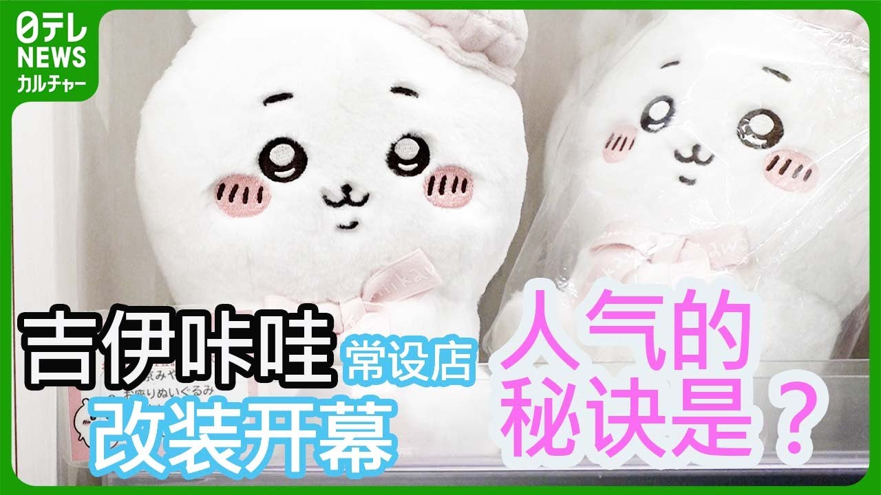 Chiikawa Land TOKYO Station 只限事前抽签被选中的顾客入店入店 采访报道“吉伊咔哇” 的人气秘诀 - YouTube