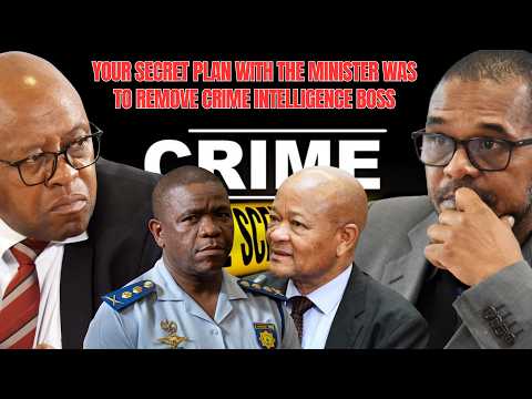 THE COMMISSION: YOU COLLUDED WITH THE MINISTER OF POLICE MNCHUNU.