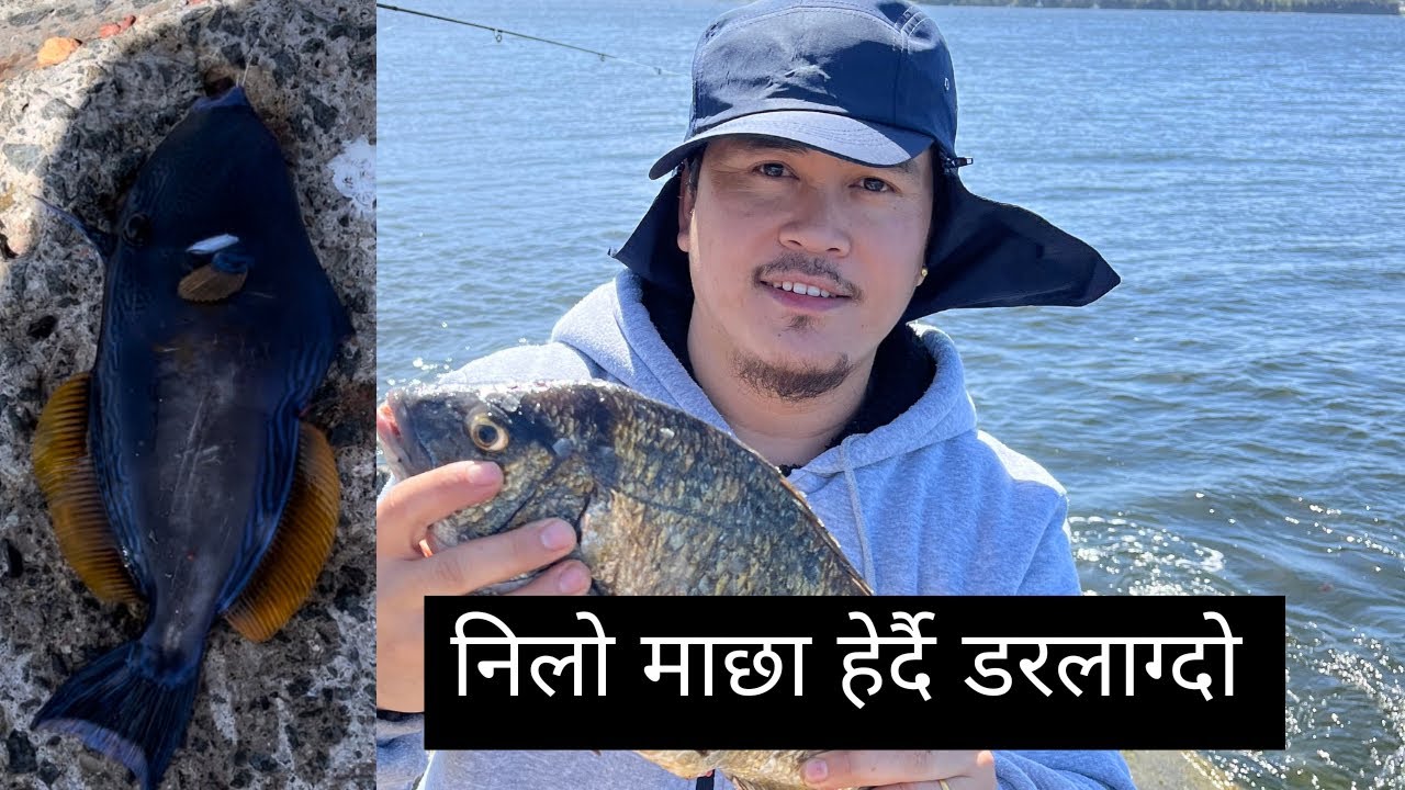 माछा मार्दा मार्दै भेटियो निलो माछा || Leather Jacket Fish || - YouTube