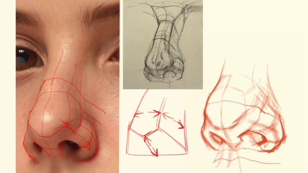 human art drawing｜Nose Volume Building with Dynamic Grids - YouTube