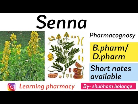Senna, pharmacognosy, D.pharm 1st year, - YouTube