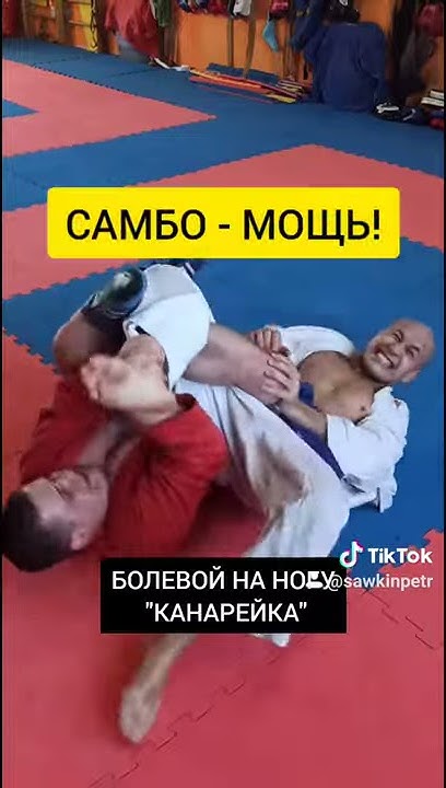 МАСТЕР ДЗЮДО против МАСТЕРА САМБО! КТО СИЛЬНЕЕ!? - YouTube