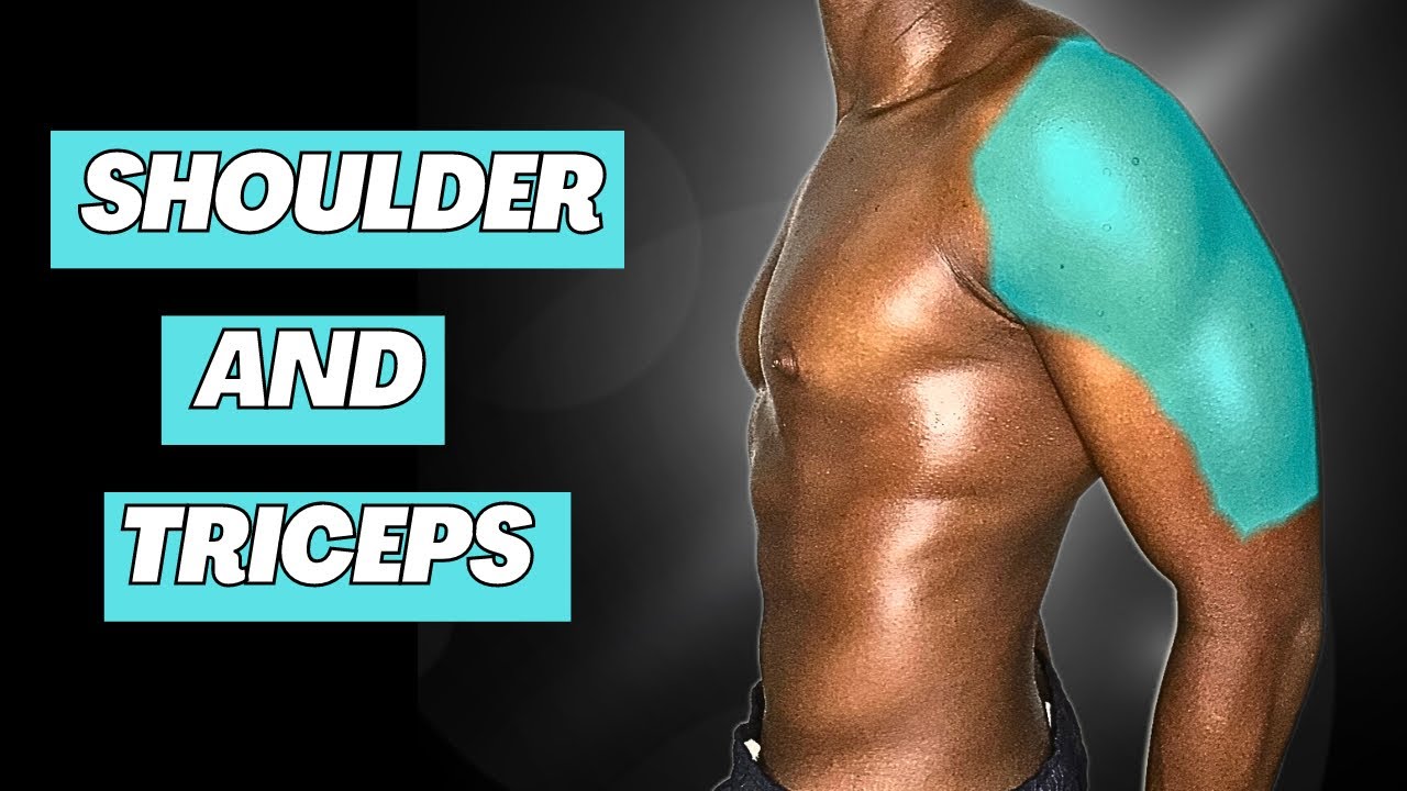 Intense shoulder and triceps workout for beginners at home for mass ...