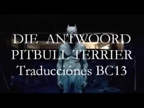 DIE ANTWOORD PITBULL TERRIER