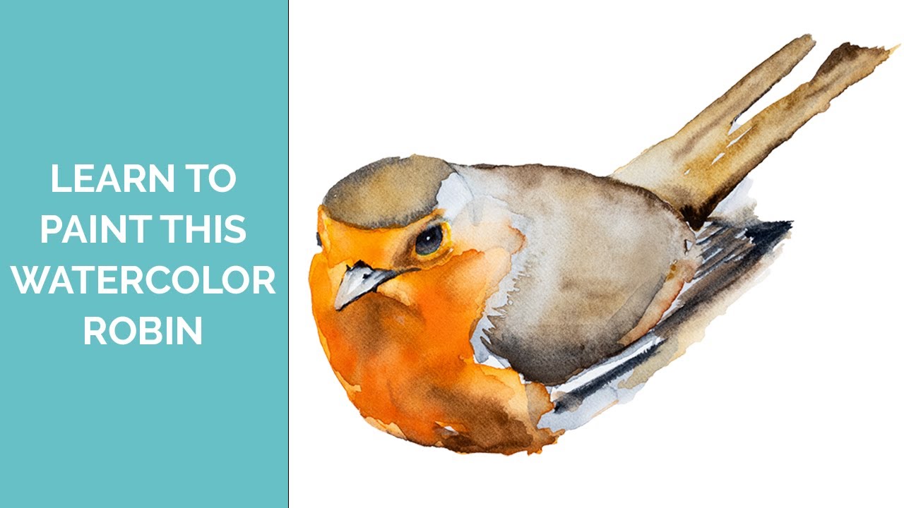 Watercolor English Robin Tutorial - YouTube